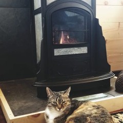 Cleanest burning wood stoves in America | Woodstove