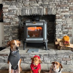 Cleanest burning wood stoves in America | Woodstove