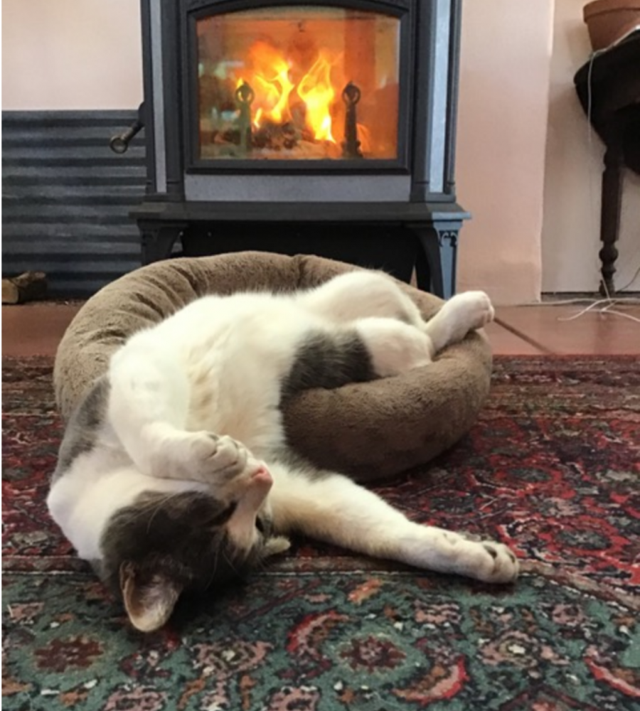 Cleanest burning wood stoves in America | Woodstove